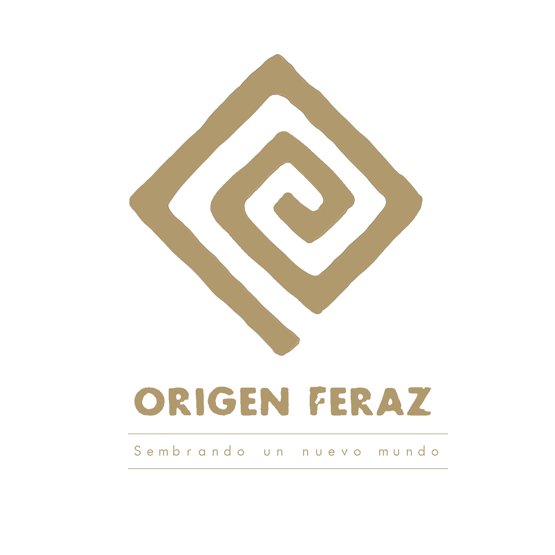 Voluntariado - ONG ORIGEN FERAZ